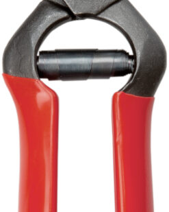 Buy Real Christmas Trees Online or from our Christmas Tree Farm