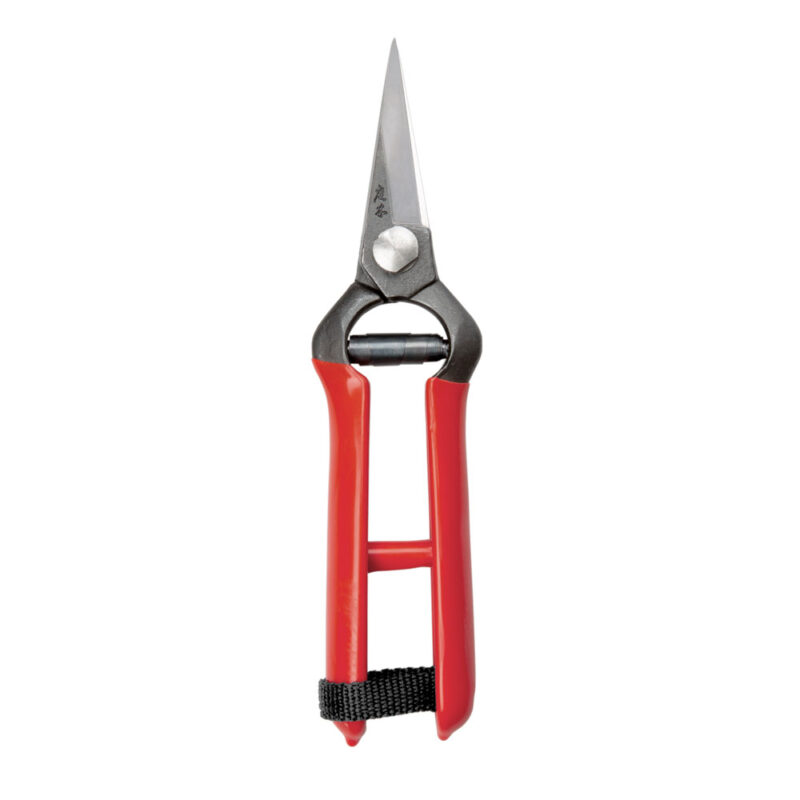 Niwaki Heavy-Duty Snips | Christmas Tree Pruning Tools
